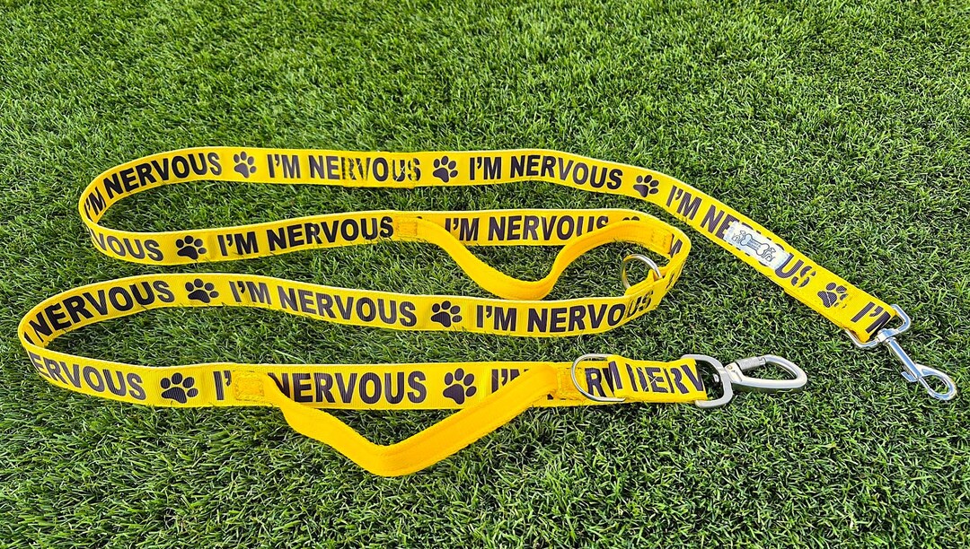 I'm Nervous – Double Ended Dog Lead: Yellow, Black, Padded Handles ...