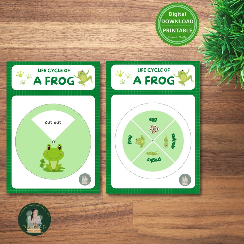LIFE CYCLE of a FROG Wheel flashcards printable Pdf - Etsy