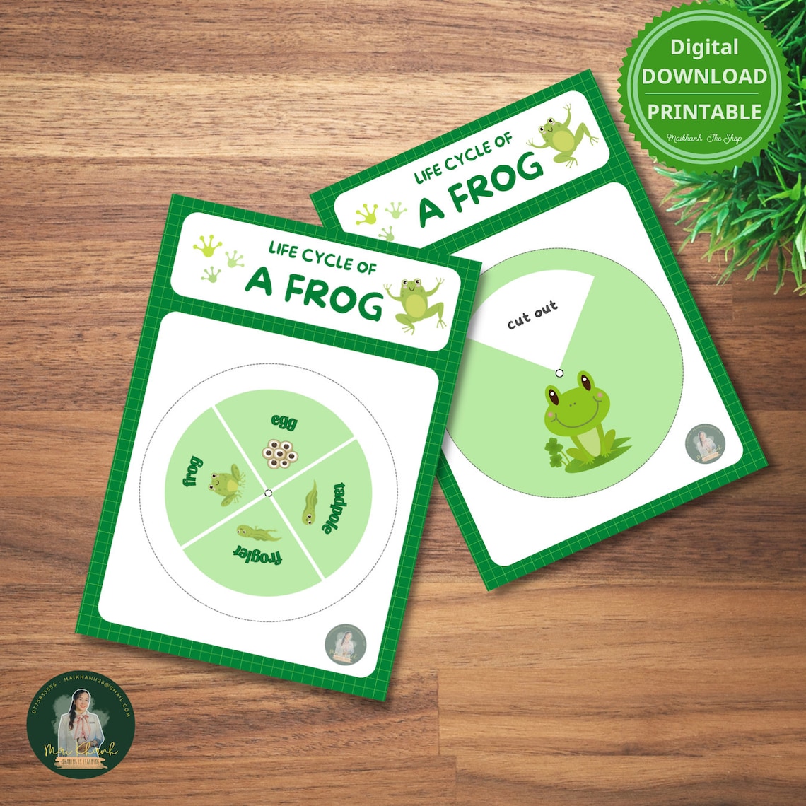 LIFE CYCLE of a FROG Wheel flashcards printable Pdf - Etsy