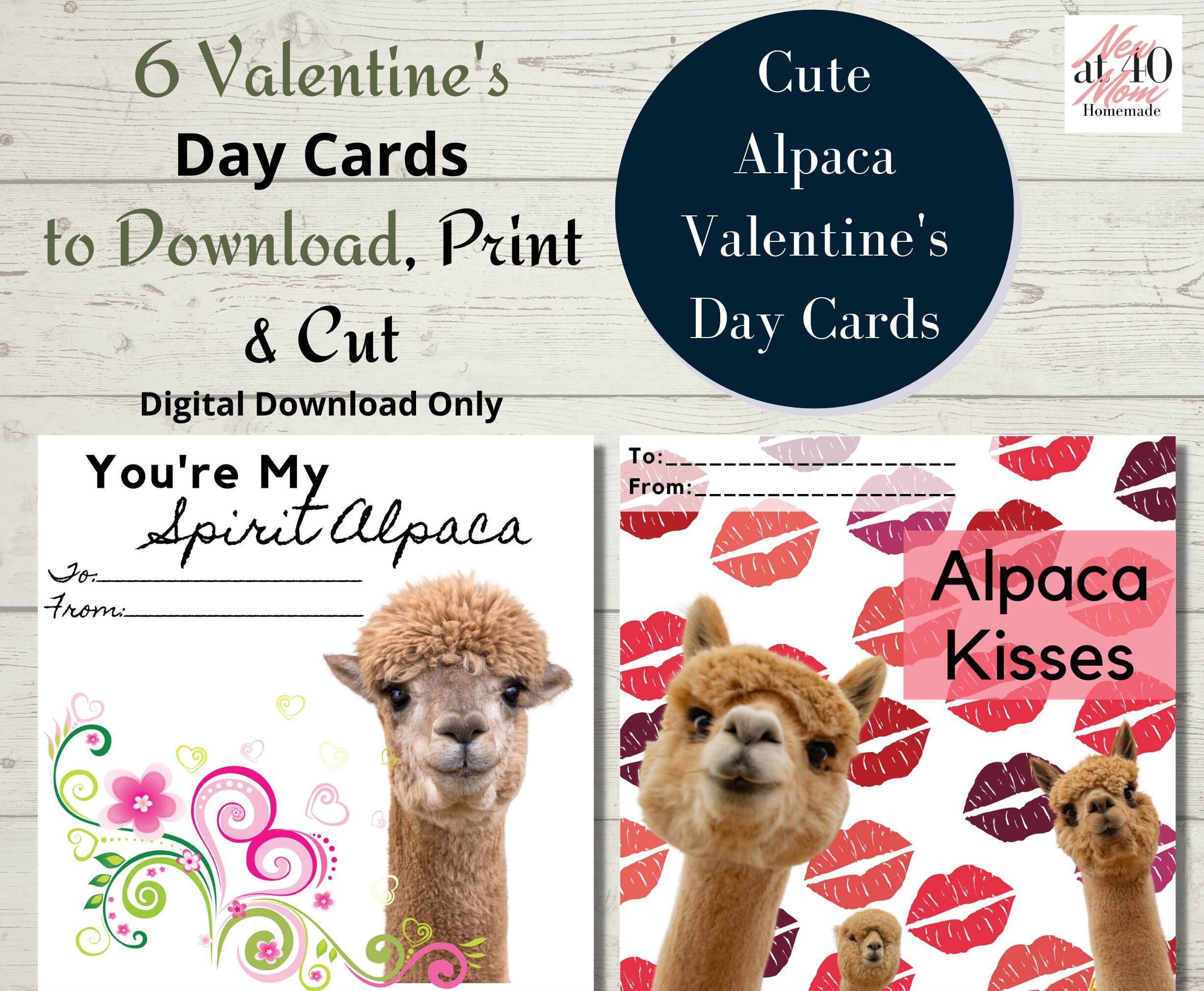 Alpaca Valentine Card, Digital Download, Alpaca Valentine Printable ...