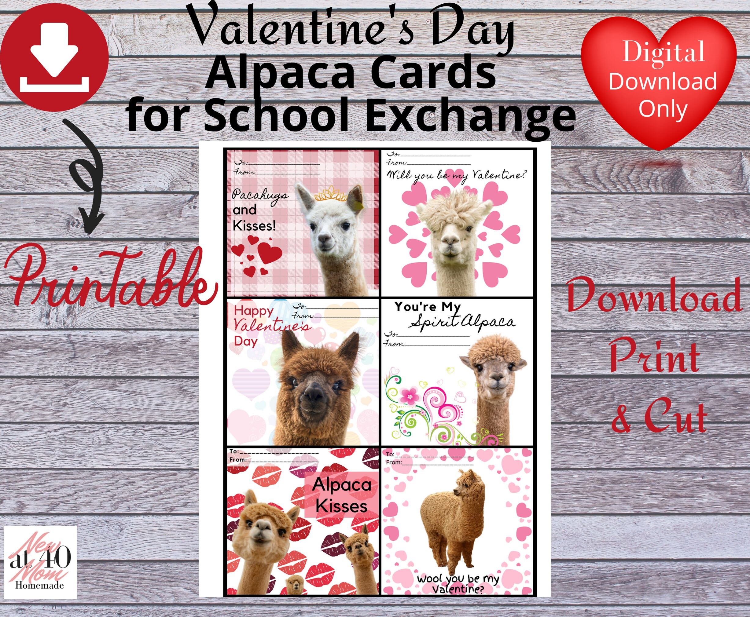 Alpaca Valentine Card, Digital Download, Alpaca Valentine Printable ...