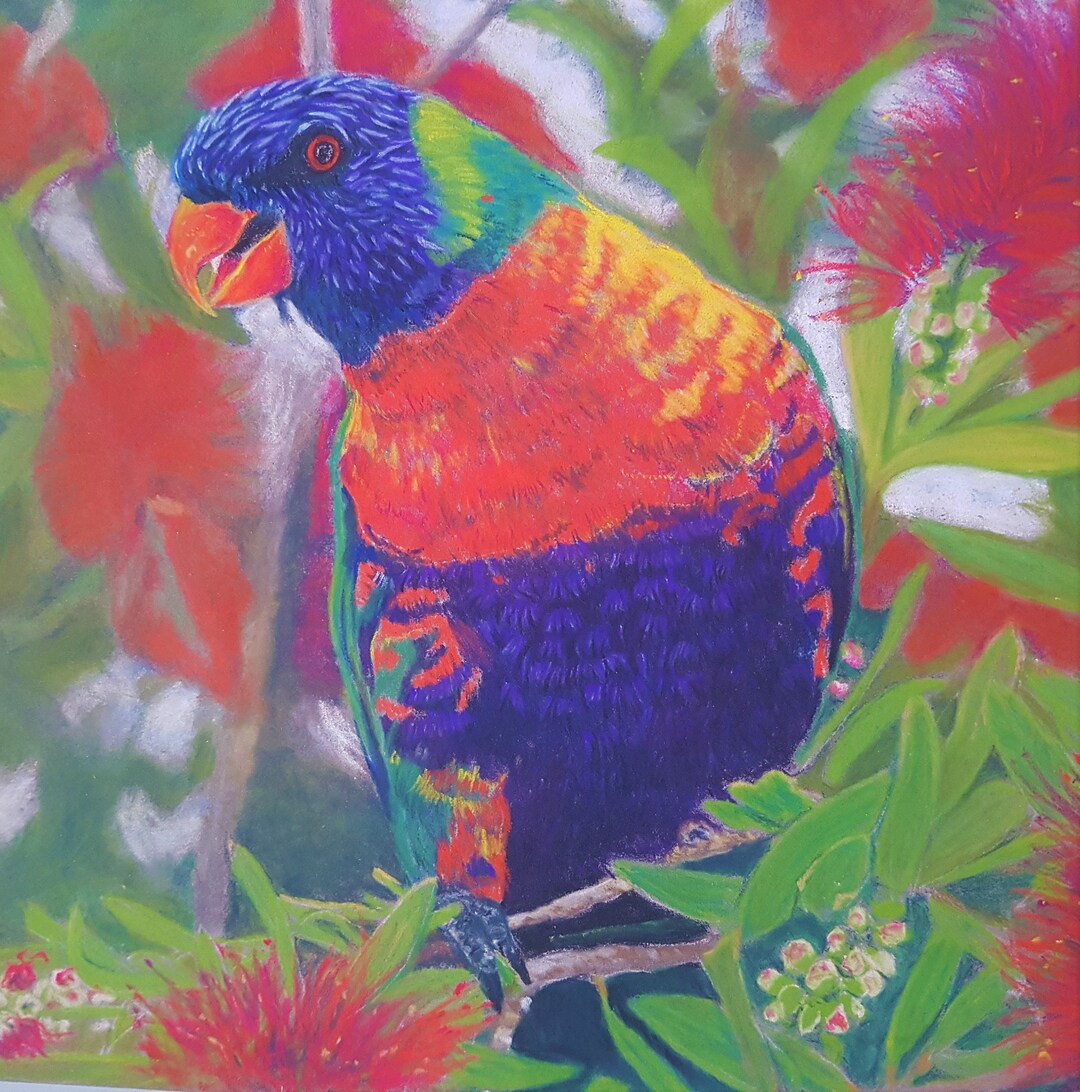 Greeting Card Parrot Card Australian Wildlife Birthday Card Parrot Card ...