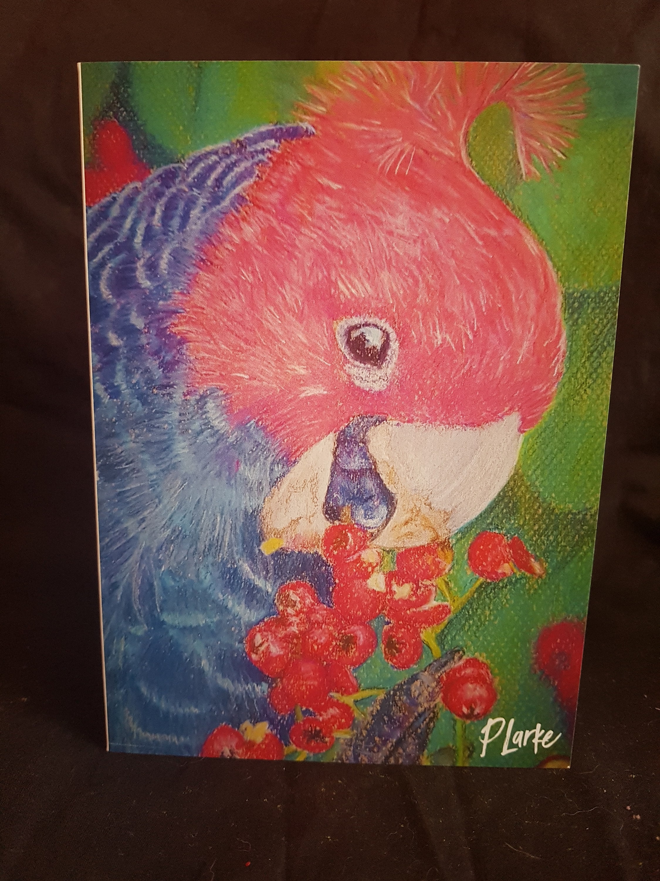 Card Australian Parrot Birthday Card Parrot Card Gang Gang Cockatoo ...