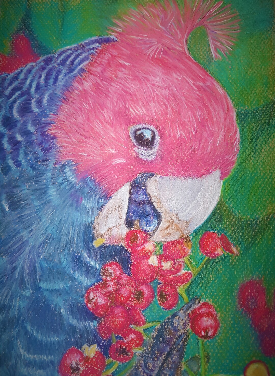 Card Australian Parrot Birthday Card Parrot Card Gang Gang Cockatoo ...