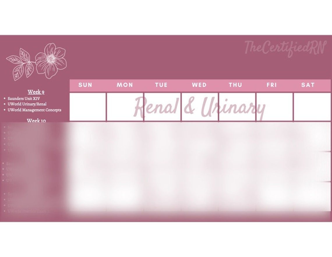 NCLEX-RN 12 Week Study Plan - Etsy