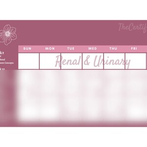 NCLEX-RN 12 Week Study Plan - Etsy