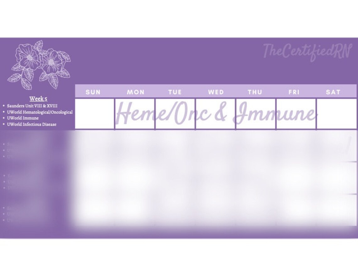 NCLEX-RN 12 Week Study Plan - Etsy