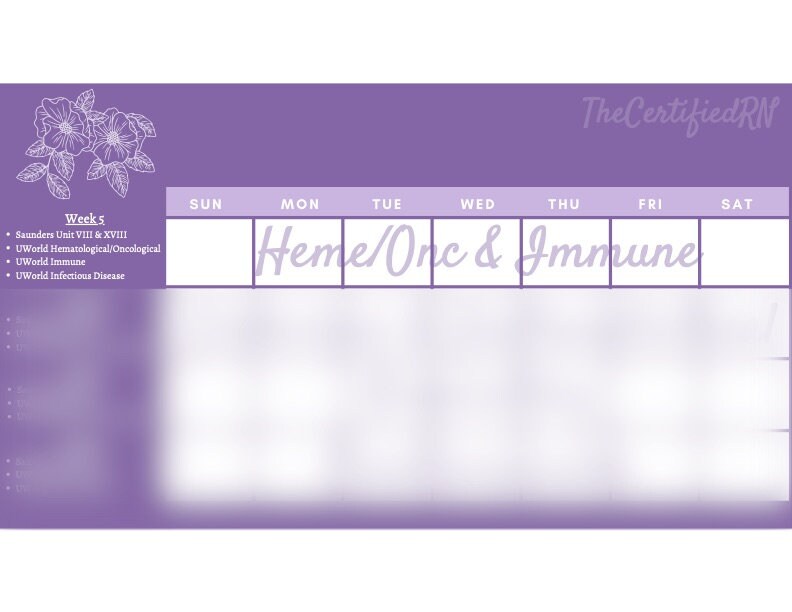 NCLEX-RN 12 Week Study Plan - Etsy