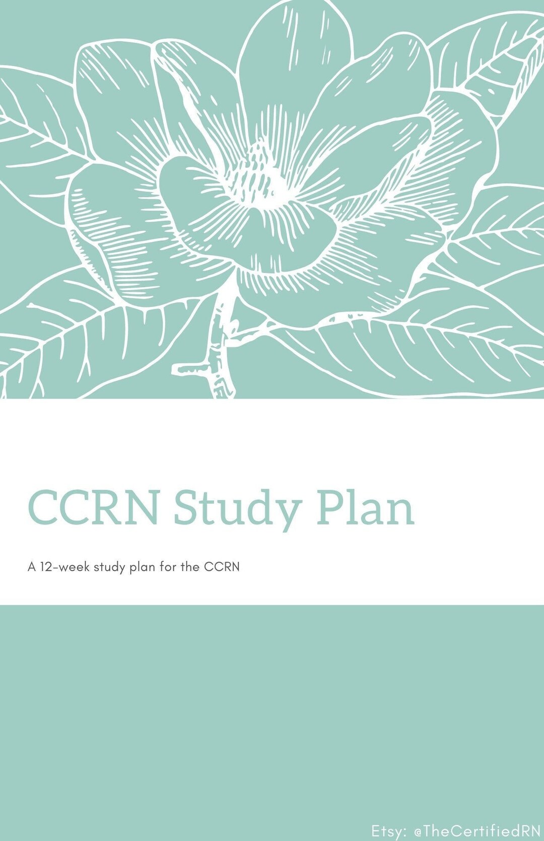 CCRN 12 Week Study Plan PDF - Etsy UK