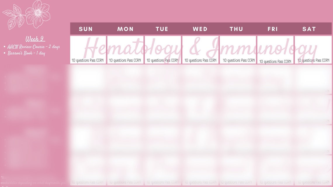 CCRN 12 Week Study Plan PDF - Etsy UK