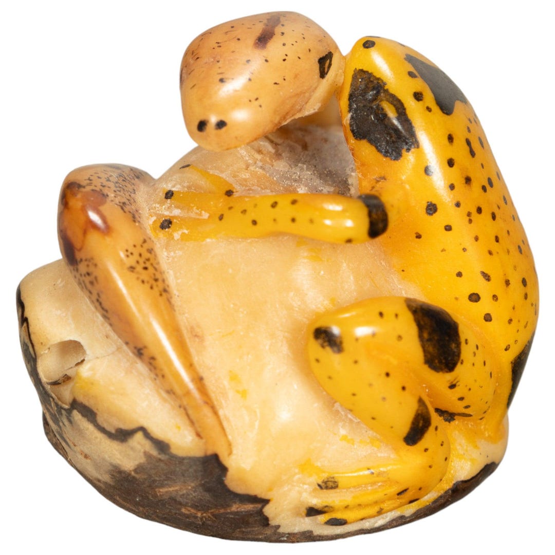 Vintage Frog With Snake Tagua Nut Carving - Etsy