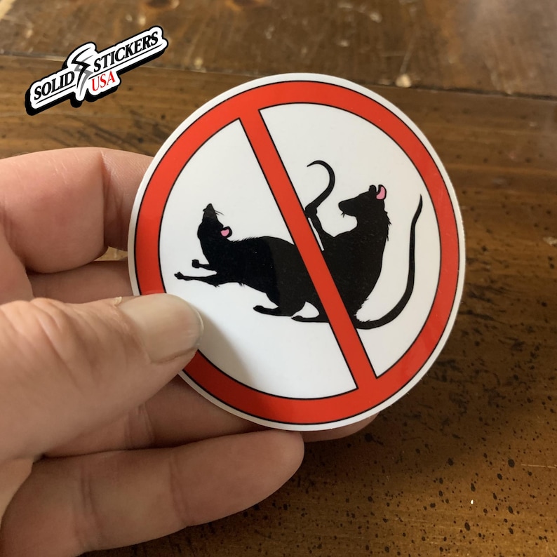 Funny "no Fucking Rats" Vinyl Sticker - Hardhat, Toolbox Decal - Etsy
