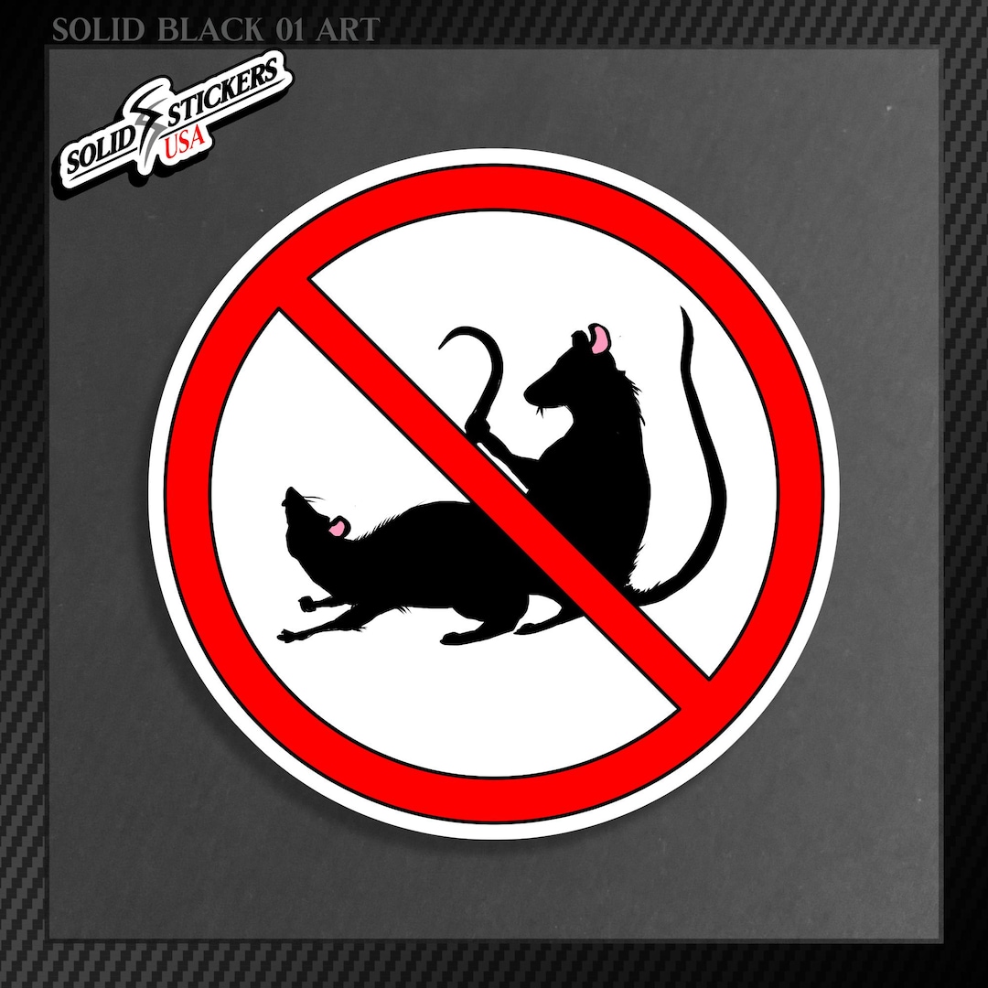 Funny "no Fucking Rats" Vinyl Sticker - Hardhat, Toolbox Decal - Etsy