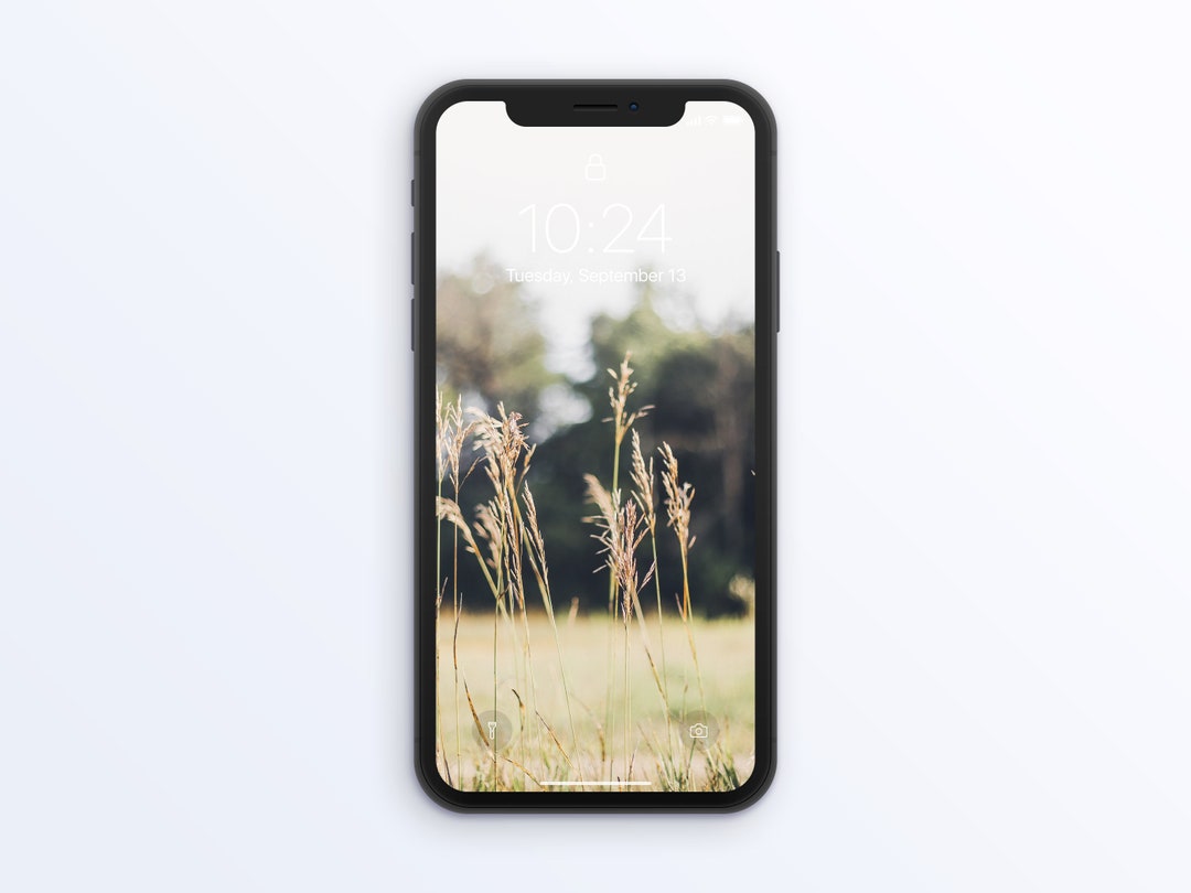 Prairie Grass Phone Wallpaper Background | Nature Photography | Digital ...