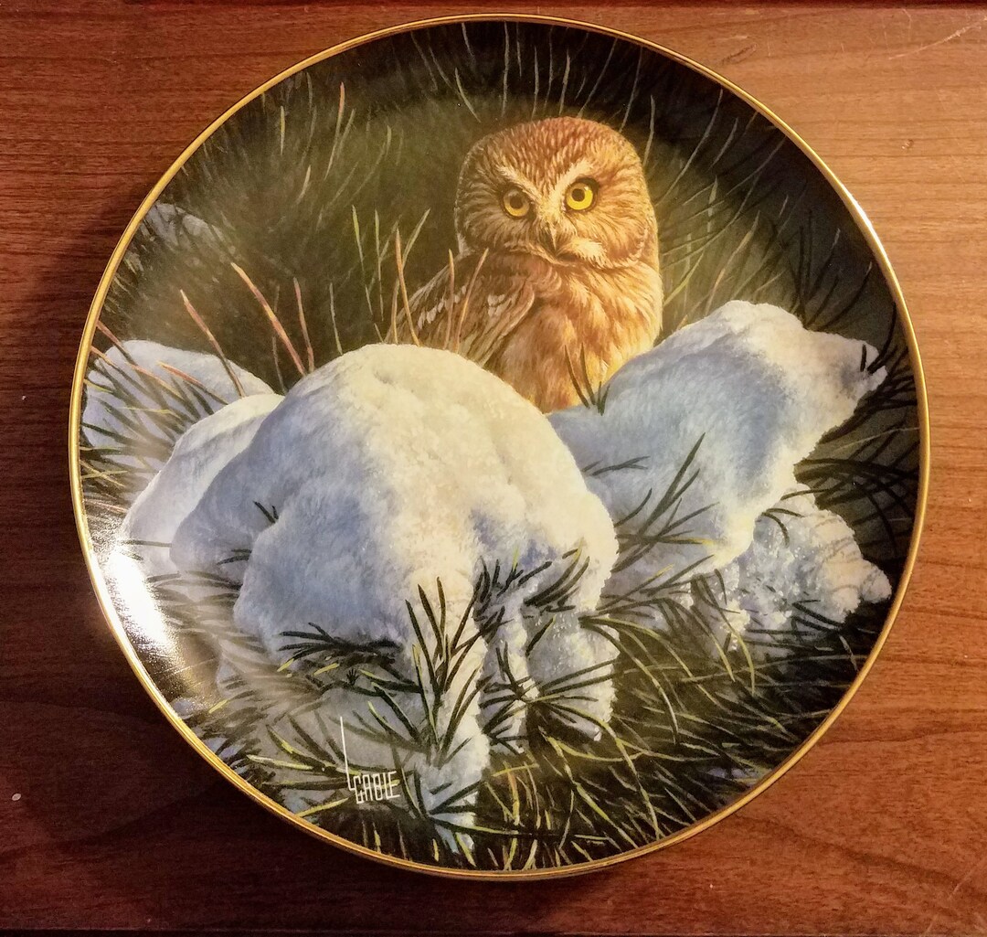 Snowy Dawn Owl Plate Danbury Mint the Owls of North America 1994 - Etsy