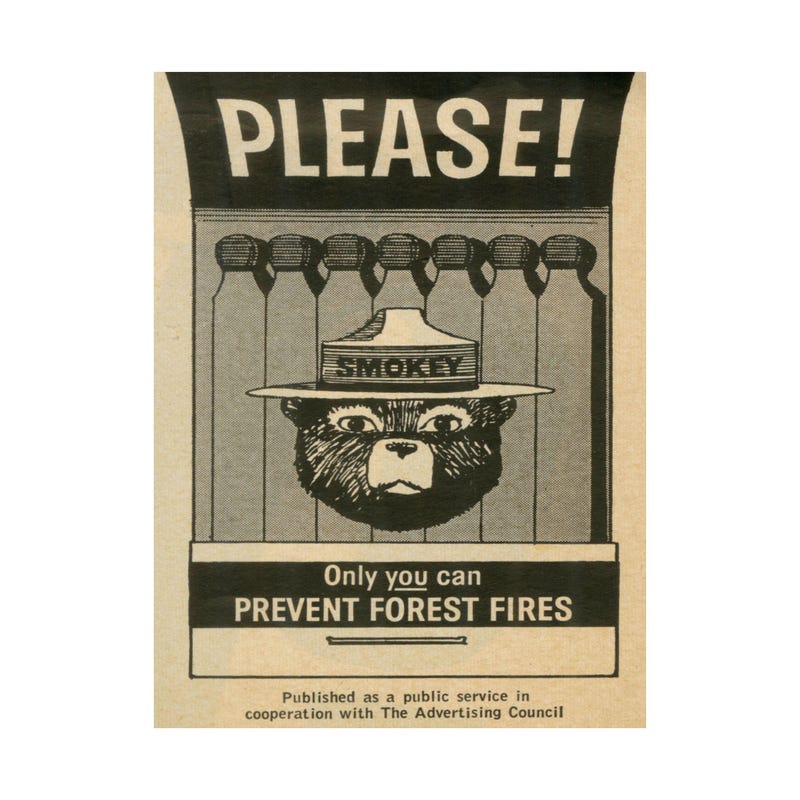 Smokey Bear Poster - Etsy