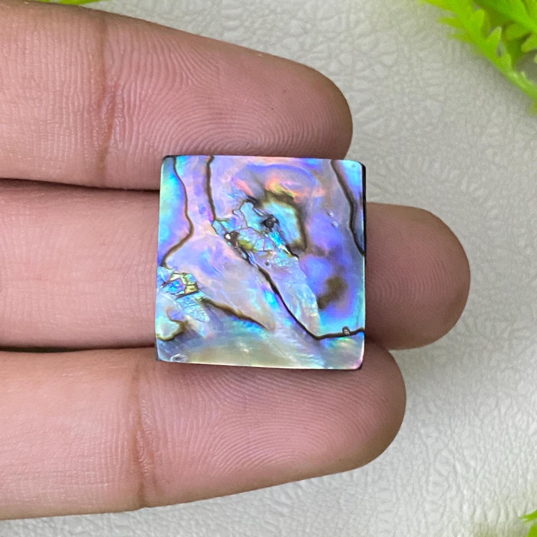 Fantastic Abalone Shell Gemstone Cushion Shape Size - 19.50x20x7 MM ...