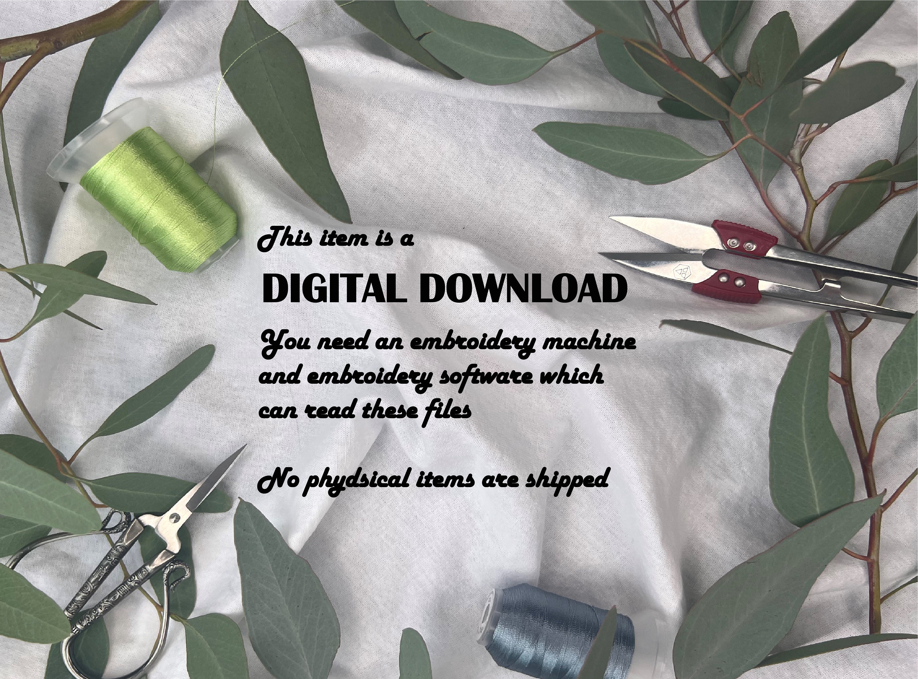 Australian Gum Corner-flower-wildflower-gumnut-eucalyptus Leaves ...