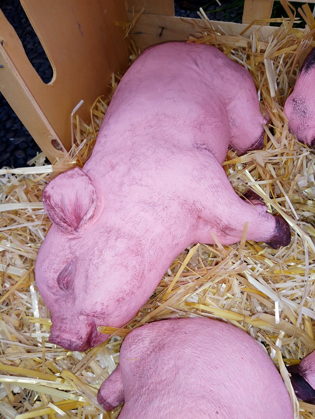 Latex Mold Pig Animals Farm Casting Mold Concrete Ceramics - Etsy