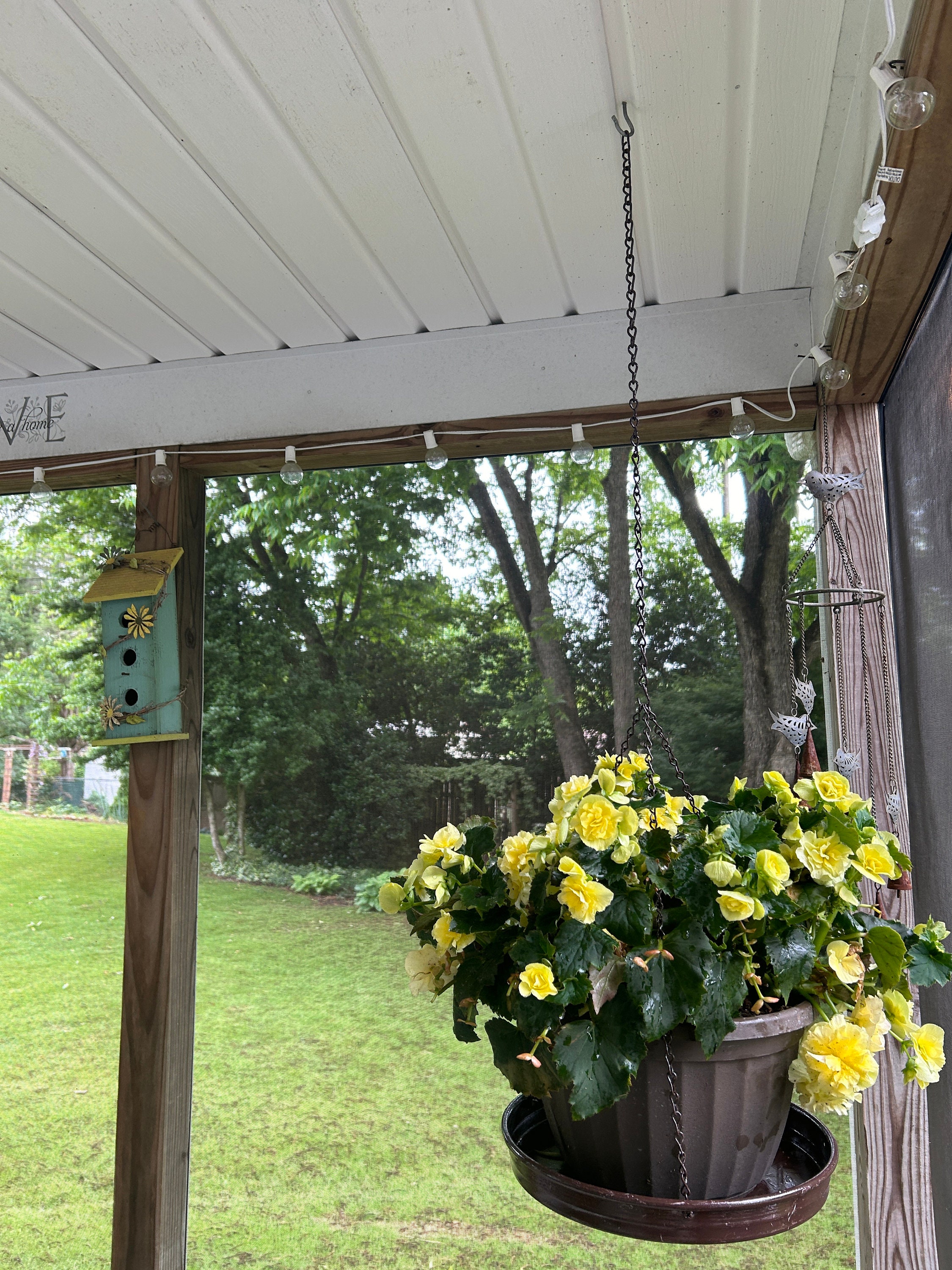 Outdoor Metal Chain Multiple Lengths and Colors for Hanging Bird Feeder ...