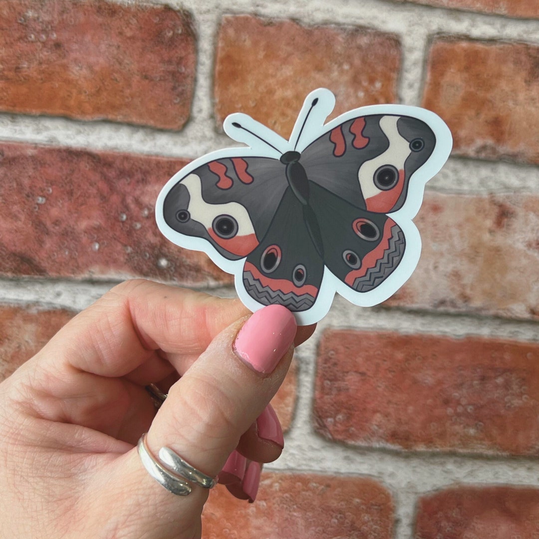 Buckeye Butterfly Sticker: Waterproof Vinyl Decal - Etsy