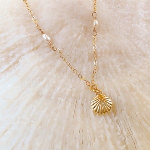 Gold Tiny Shell Necklace/gold Shell Charm Necklace/gold Layered Shell ...