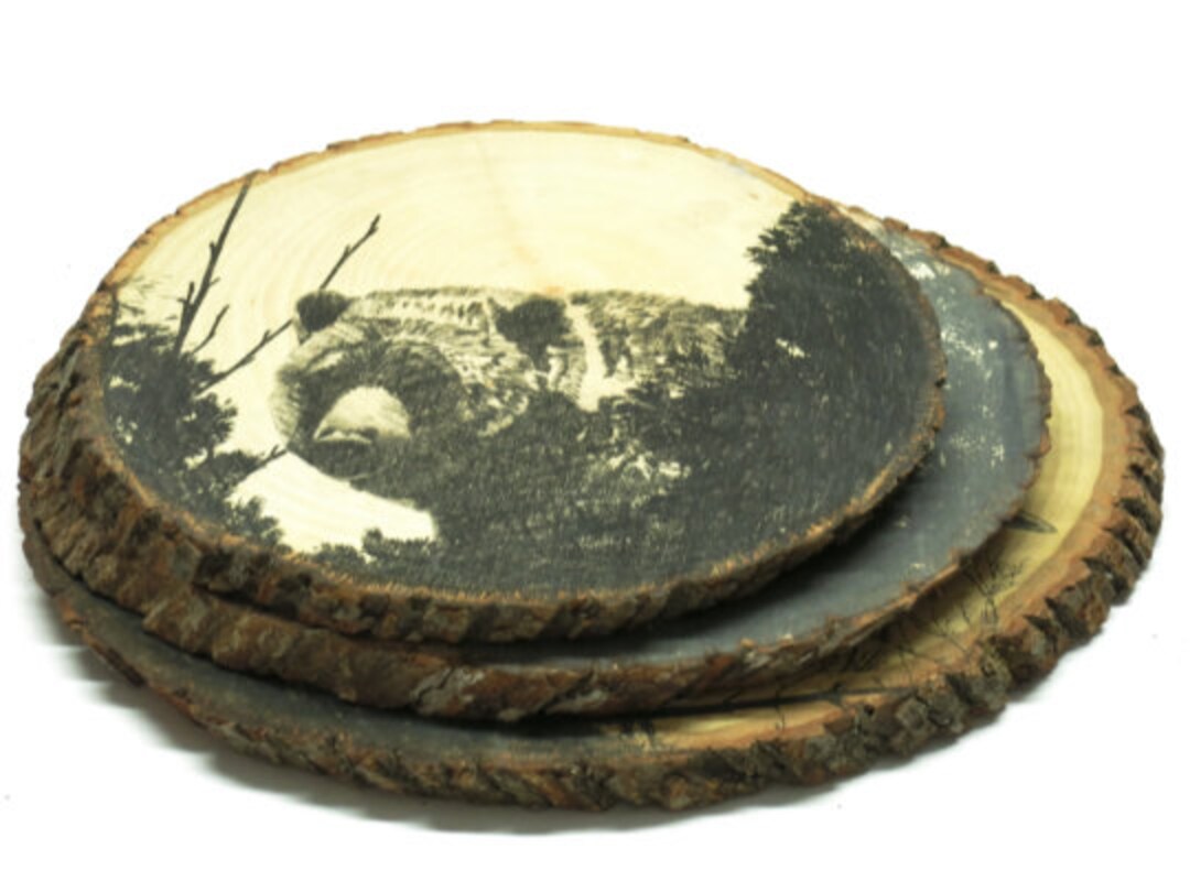 Giant Wood Stump Decor Ink Transfer of Wild Animal - Etsy