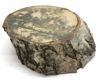 Wood Stump Ink Art - Etsy