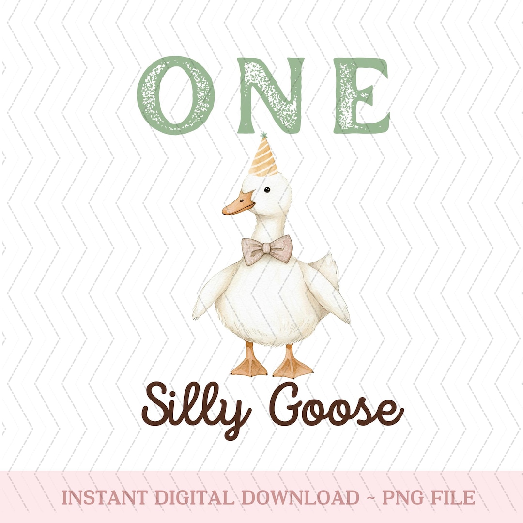 One Silly Goose Birthday PNG for Boy, Cute Silly Goose Clipart, Instant ...