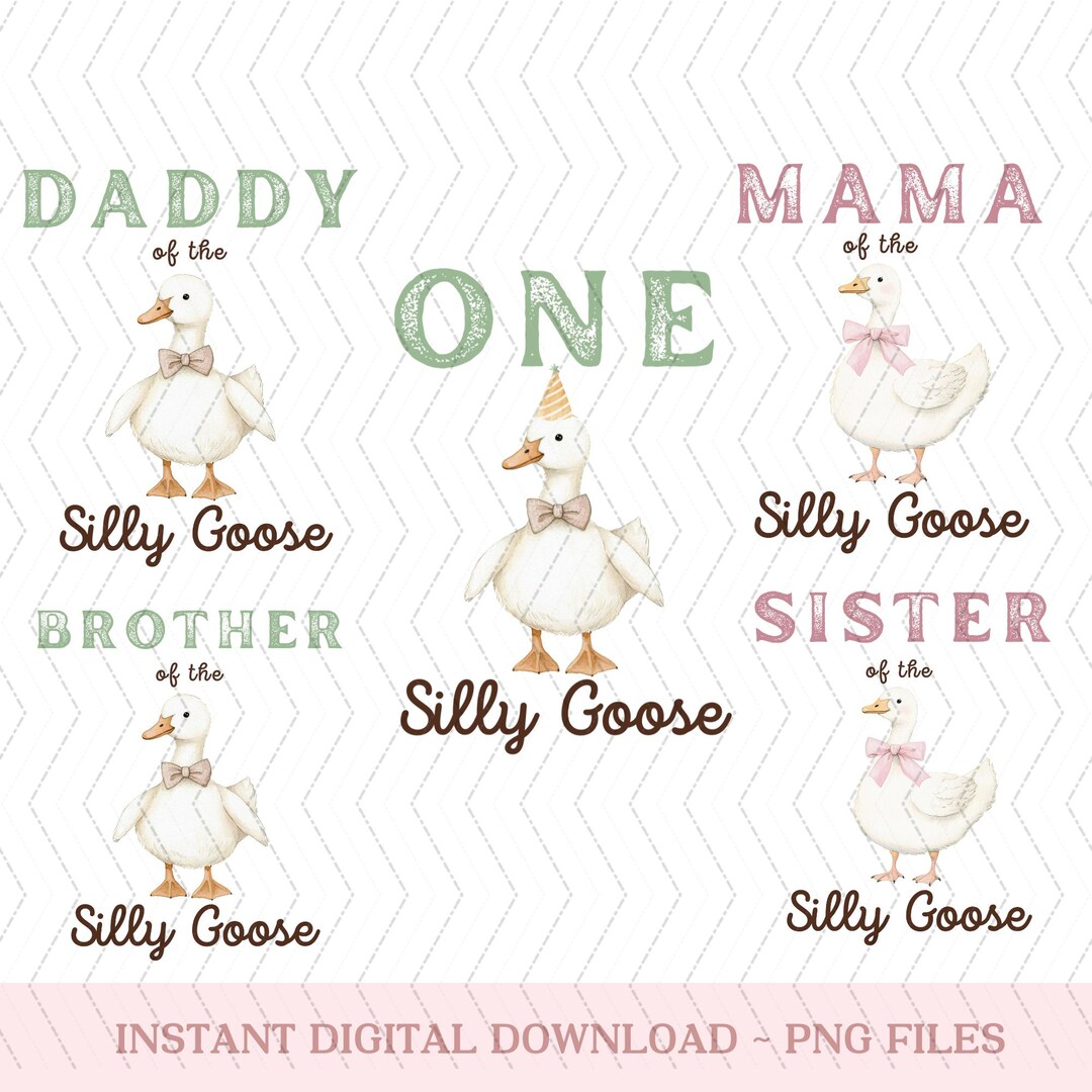 Silly Goose Birthday PNG for Boy, Funny Goose PNG Clipart, Instant ...