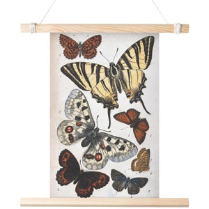 Butterfly Illustration Matte Poster | Scientific Nature Fine Art ...