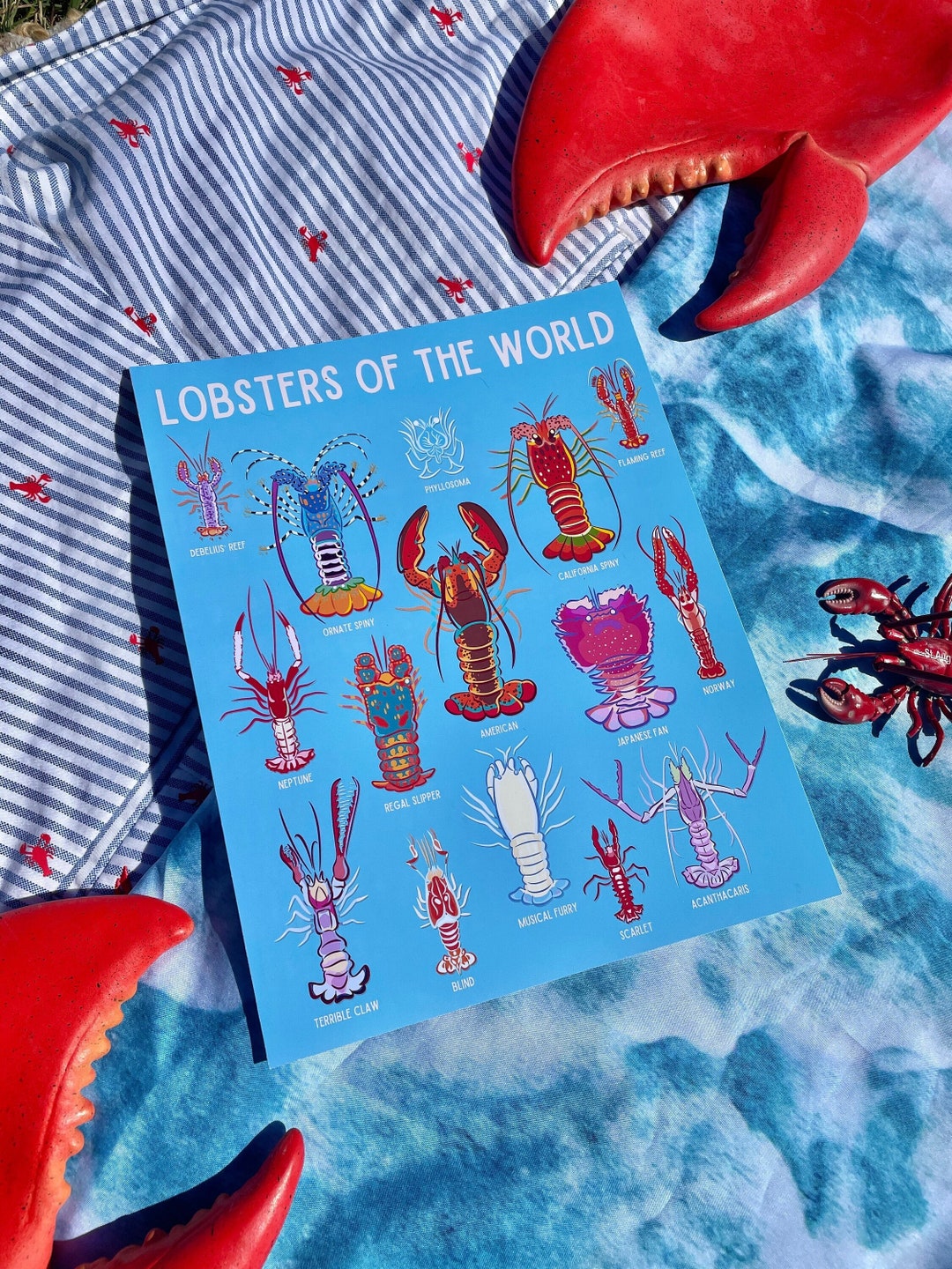Lobsters of the World 8.5”x11” Glossy Print - Etsy