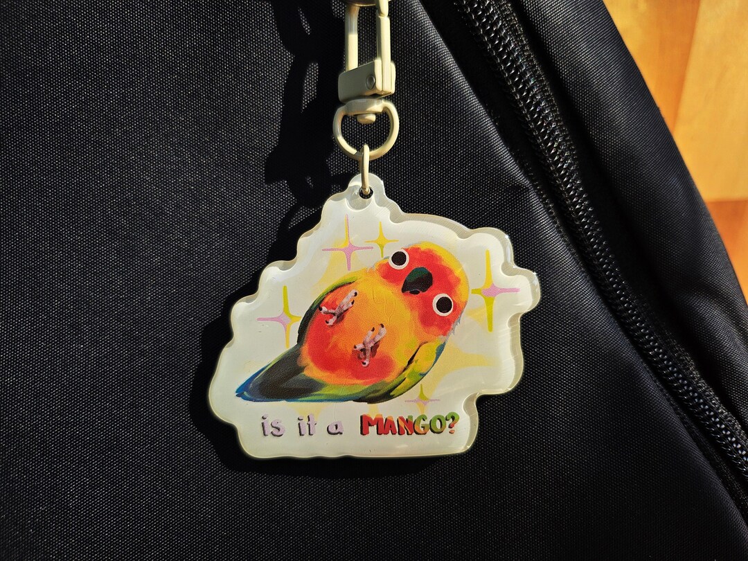 Sun Conure Mango Acrylic Charm 2.5 in Epoxy Charm Double-sided Charm ...
