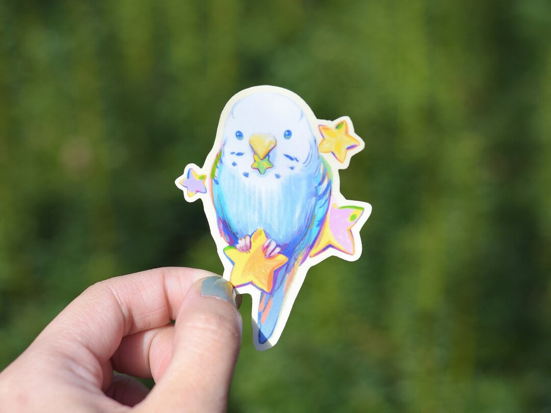 Star Birb Sticker || Waterproof Matte Sticker || Cute Budgie || Bird ...