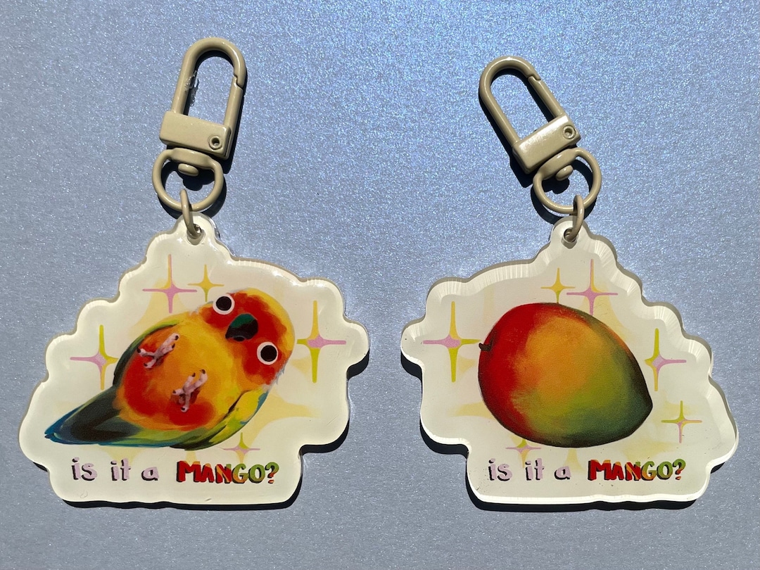 Sun Conure Mango Acrylic Charm 2.5 in Epoxy Charm - Etsy