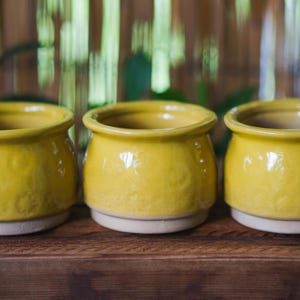 Mustard Yellow / Glazed Ceramic Planter / Small Succulent Pot / Pretty ...