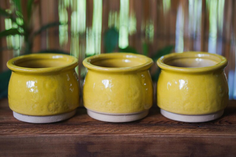 Mustard Yellow / Glazed Ceramic Planter / Small Succulent Pot / Pretty ...