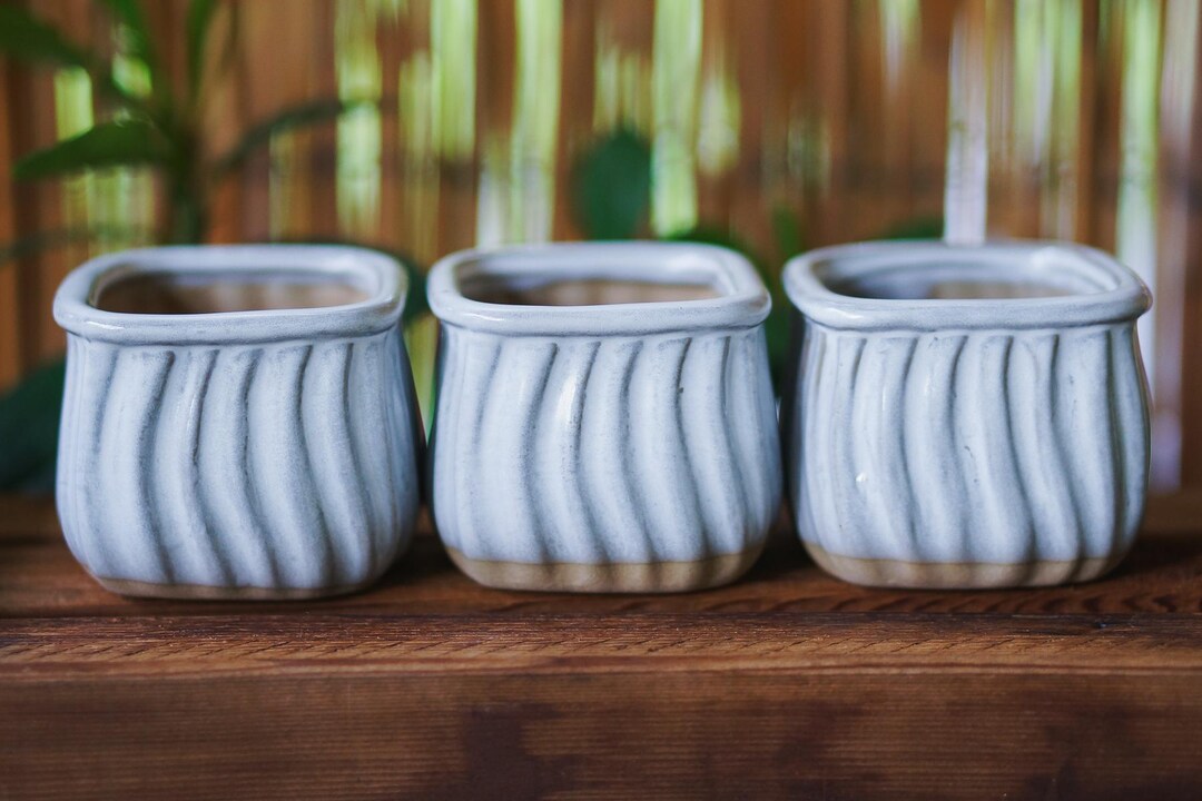 Wavy White Planter / Glazed Ceramic Planter / Small Succulent Pot ...