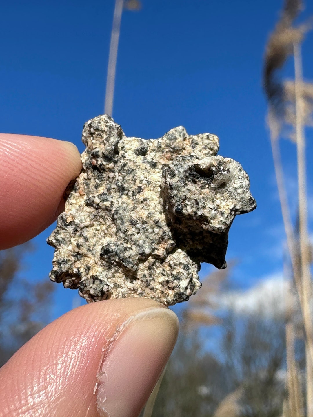 Small XS Fulgurite Piece | Lightning Tube | Lightning Sand | Lightning ...