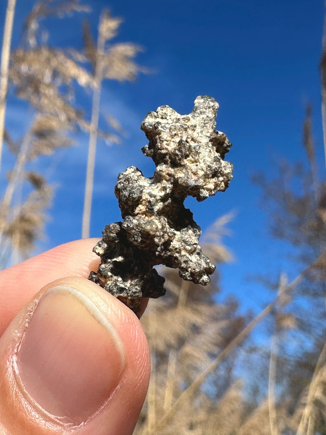 Small XS Fulgurite Flash Tube Lightning Sand Lightning Rock ...