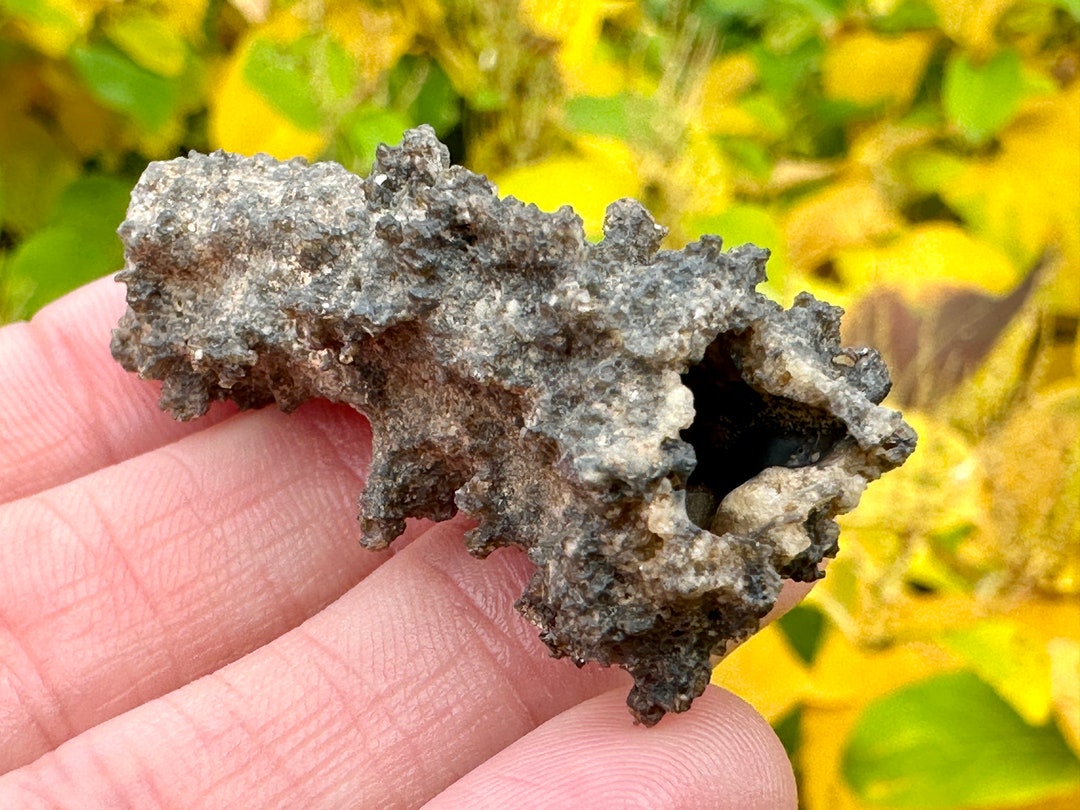 Genuine Fulgurite Flash Tube Lightning Sand Lightning Rock ...
