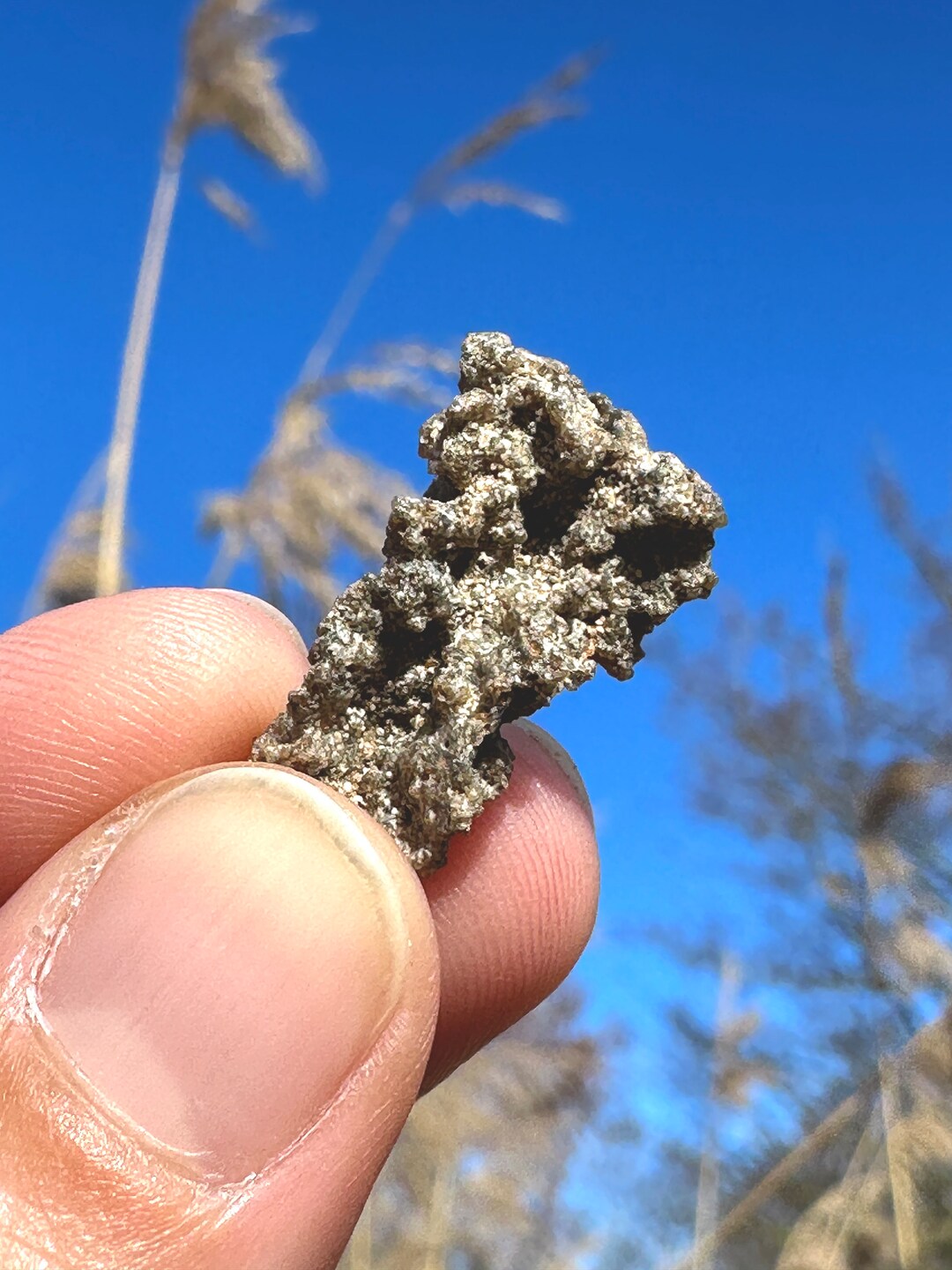 Small XS Fulgurite Flash Tube Lightning Sand Lightning Rock ...