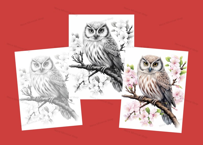 Beautiful Owls, Grayscale Coloring Pages for Adults / 25 Printable ... Beautiful Owls, Grayscale Coloring Pages for Adults / 25 Printable ...