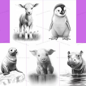 Cute Realistic Baby Animals, Grayscale Coloring Pages for Adults | 53 ...