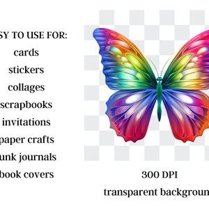 15 Rainbow Butterflies Clipart Set3 / Instant Download / - Etsy