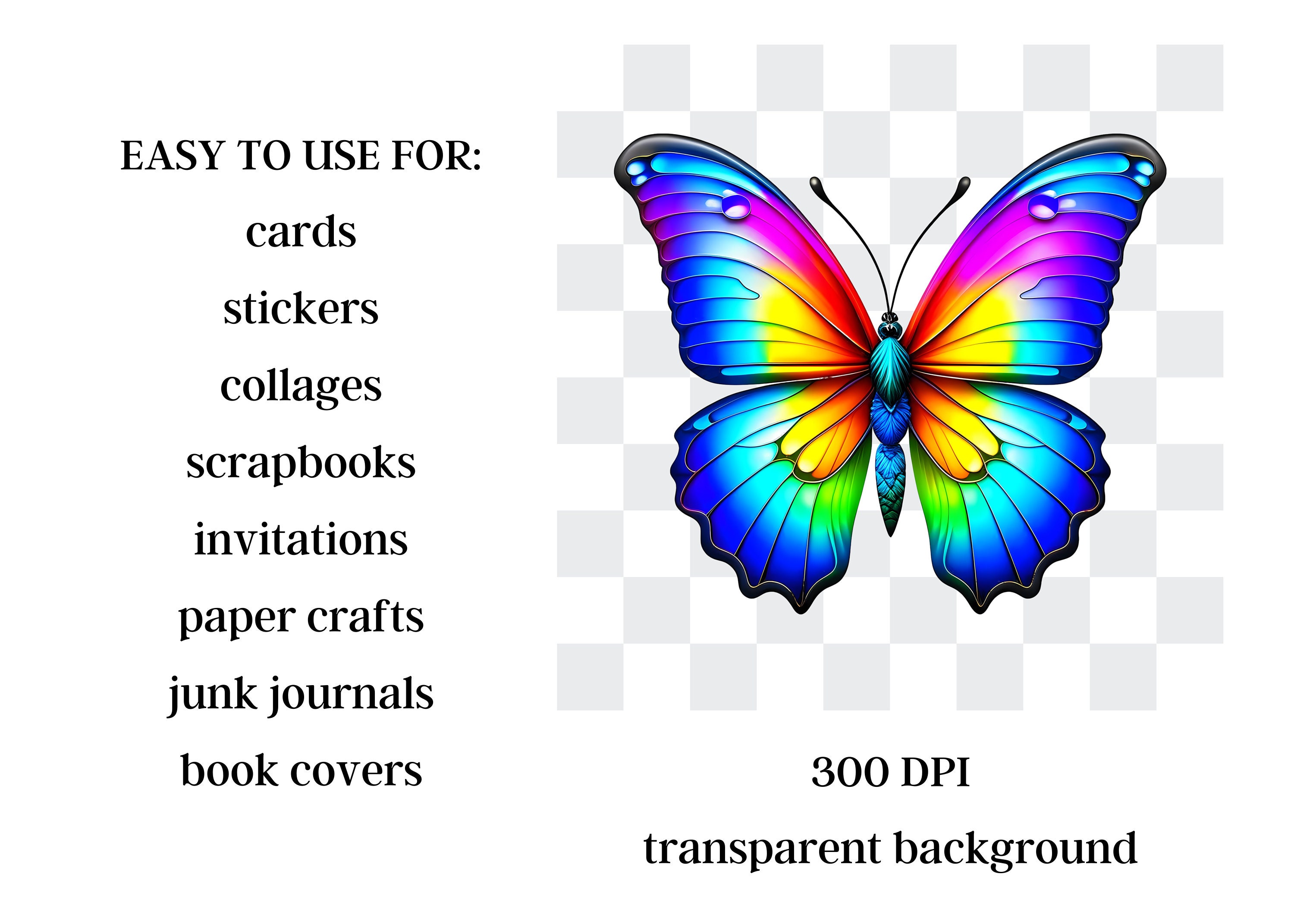 15 Rainbow Butterflies Clipart Set1 / Instant Download / - Etsy