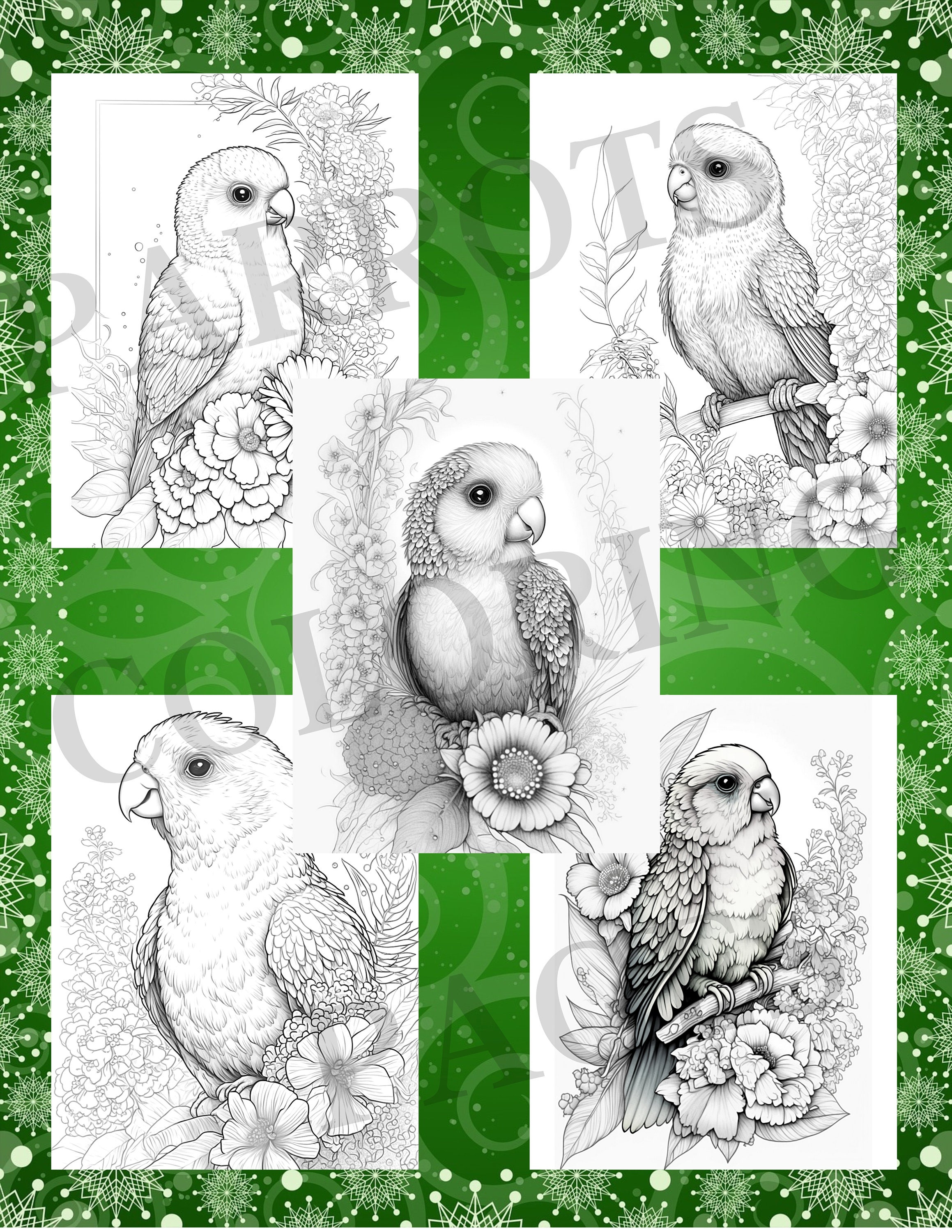 Parrots & Flowers, Grayscale Coloring Pages for Adults / 15 Printable ...