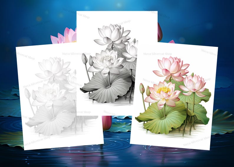 Lotus Flowers, Botanical Flowers, Grayscale Coloring Pages for Adults ...