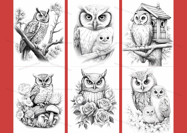 Beautiful Owls, Grayscale Coloring Pages for Adults / 25 Printable ... Beautiful Owls, Grayscale Coloring Pages for Adults / 25 Printable ...