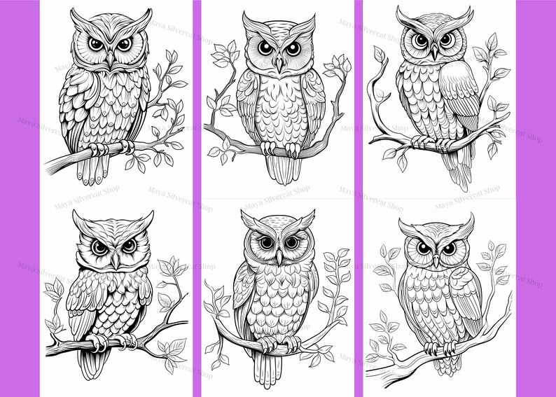 Easy Owls, Coloring Pages for Adults & Kids / 26 Printable Pages ...
